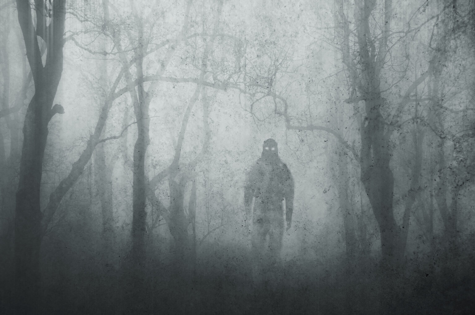 How to Become a Cryptozoologist: A Concise Guide – Fringe Creatures